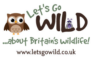 Logos - Let's Go Wild